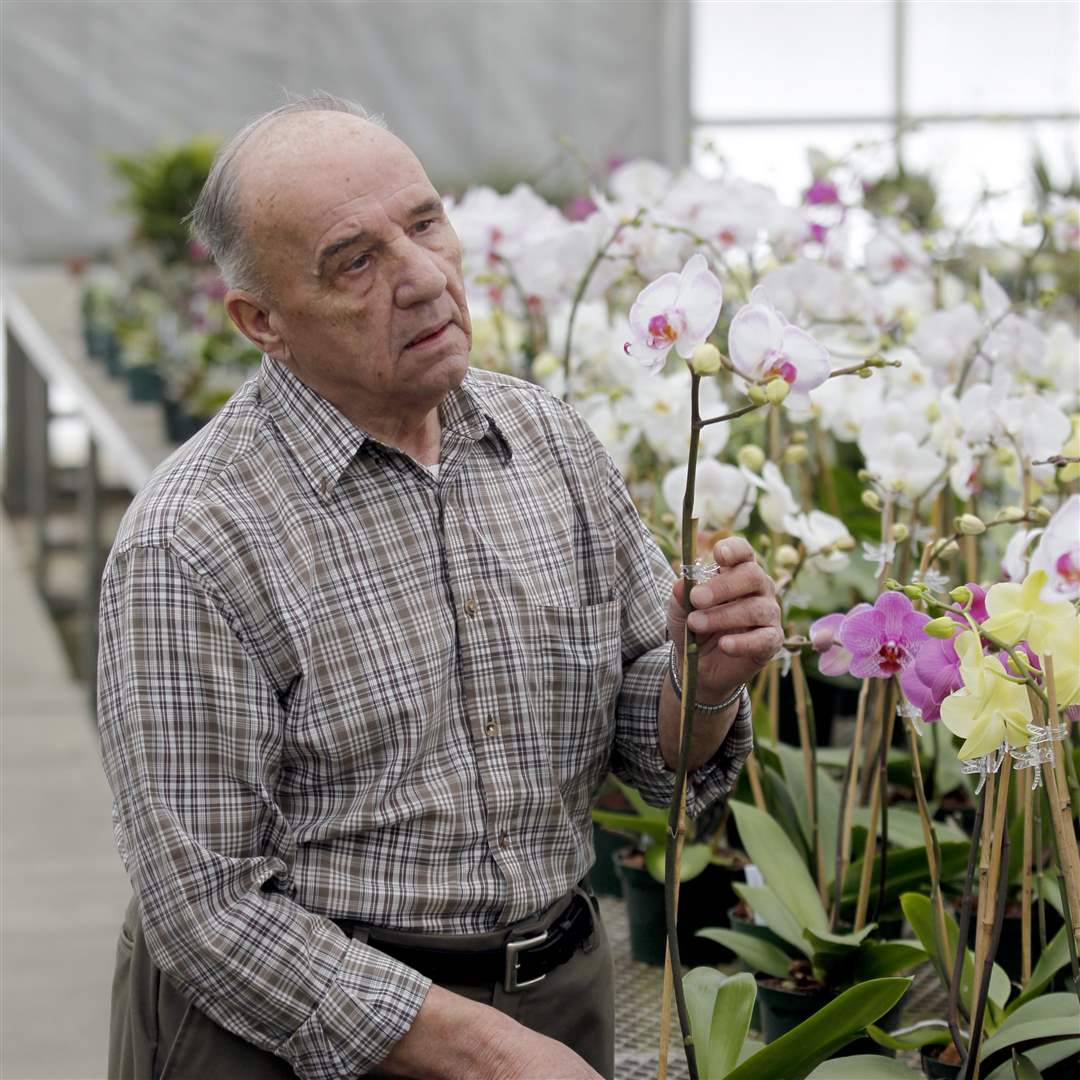 Orchids: Natural Beauties - The Blade